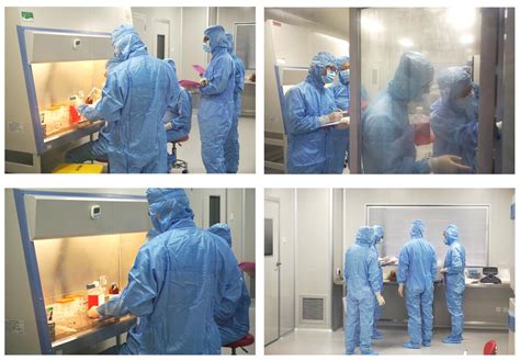 关于梵美国际 研究院概况 干细胞与再生医学研究 精准医疗 基因检测 梵美国际再生医学科技有限公司