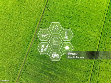 지속 가능한 관행을 위한 현대 기술을 갖춘 스마트 농업 쌀 농장 스마트 농업 개념 지속 가능한 농업 정밀 농업 기후 모니터링 농장 관리 시스템 농업 기술에 대한 스톡 사진