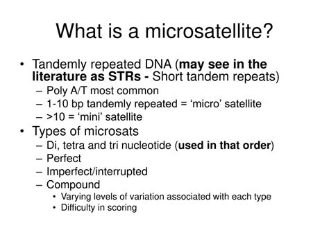 Ppt What Is A Microsatellite Powerpoint Presentation Free Download Id 6665809