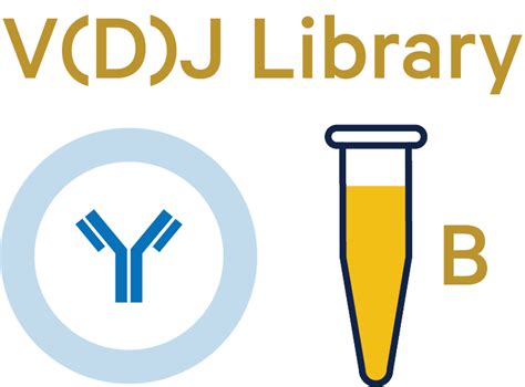 Gene Expression V D J Feature Barcode Analysis With Cellranger Multi Software Single Cell