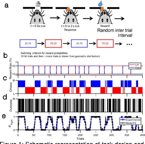 Figure 1 From The Causal Contributions Of Medial Prefrontal Cortex To Value Based Decisions In