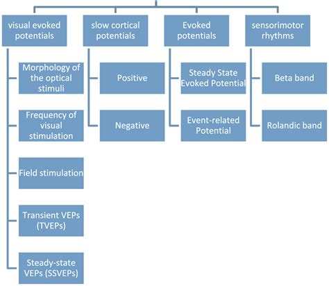 Types Of Brain Signals Used In Bci Download Scientific Diagram