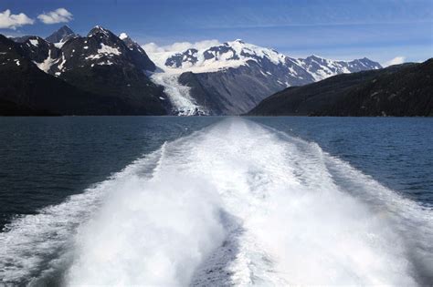 알래스카 빙하여행 2 위디어프린스 윌리엄 사운드 해안빙하 유람선 투어 네이버 블로그