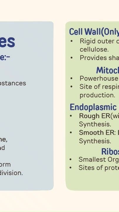 📚cell Explained In Just 10 Minutes 🧬for Classes 9 To 12 Icse Cbse
