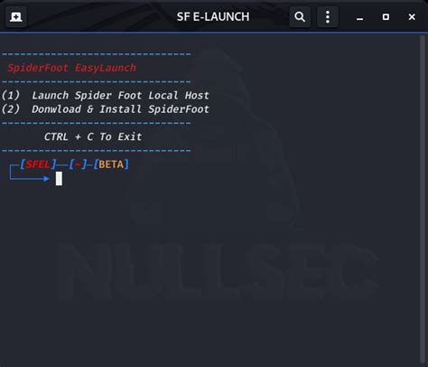 Github Sircryptic Sfe Spiderfoot Easylaunch And Installer
