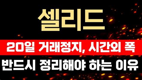셀리드 주가전망 20일 거래정지 시간외 폭락 반드시 정리해야 하는 이유 셀리드 셀리드주가 거래정지 Youtube