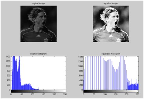 Implementation Of Histogram Processing In Matlab Ankurm