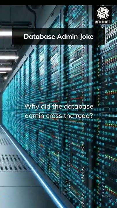 database administration joke shorts databasemanagement jokes youtube