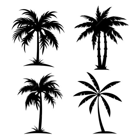 Premium Vector Set Of Vector Black Silhouettes Of Palm Trees Isolated