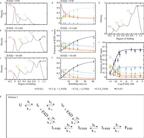 Kinetic Analysis Of Fad Binding Coupled To Dcry Folding A C Density Download Scientific Diagram