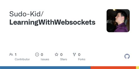 Github Sudo Kid Learningwithwebsockets