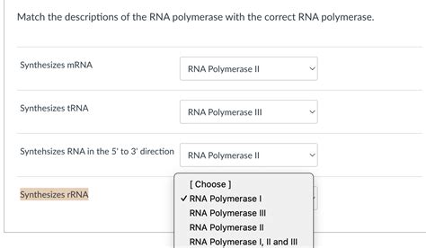 Solved Match The Descriptions Of The Rna Polymerase With The