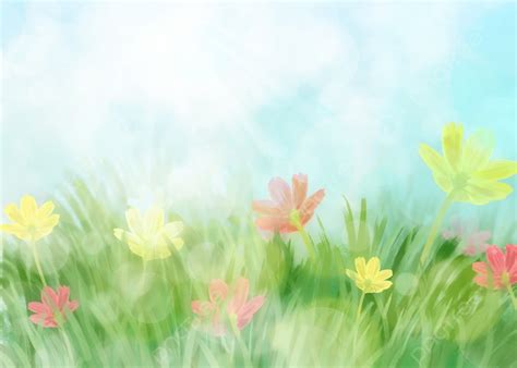 Spring Flower Plant Grass Background Desktop Wallpaper Wallpaper Spring Background Image And