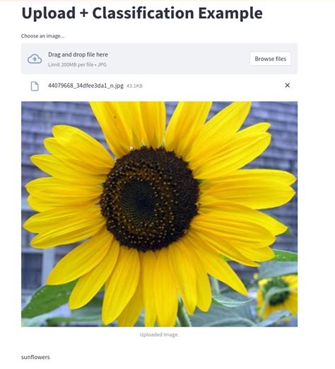 Cnn — Image Classification Steps By Chelvan Chelvam Medium