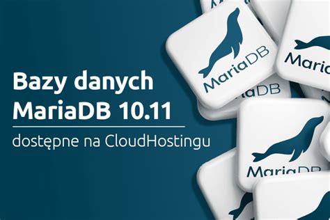 Bazy Danych Mariadb 1011 Dostępne Na Cloudhostingu Blog Nazwapl