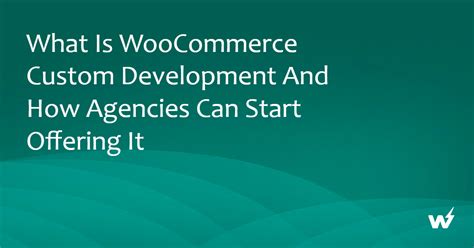 What Is Woocommerce Custom Development And How Agencies Can Start Offering It Instawp