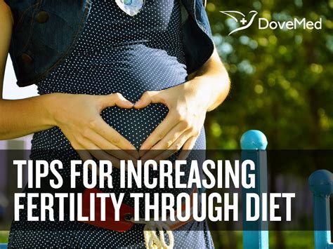 Tips For Increasing Fertility Through Your Diet