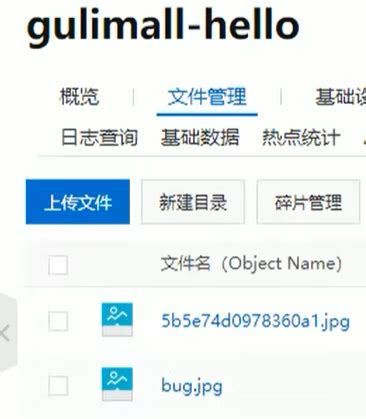 谷粒商城笔记 踩坑4商品服务 品牌管理阿里云云存储 JSR303数字校验 统一异常处理 阿里云开发者社区