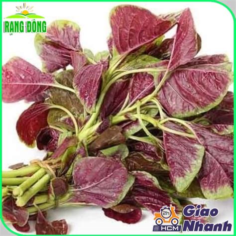 Hạt Giống Rau Dền Đỏ Dễ Trồng Kháng Sâu Bệnh Tốt Gói 20 Gram Hạt Giống Rạng Đông Đầy