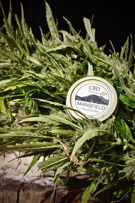 Mansfield Provisions Cbd Oil Flower Capsules And Salves