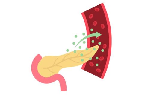 What Is Proteolytic Cleavage And Why Does It Matter Microbioz India