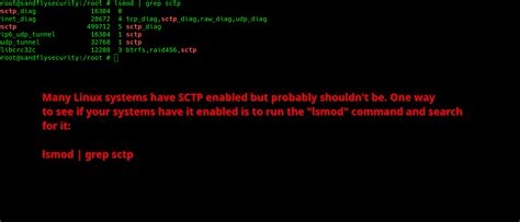 Sctp Protocol Attack Risks On Linux Sandfly Security