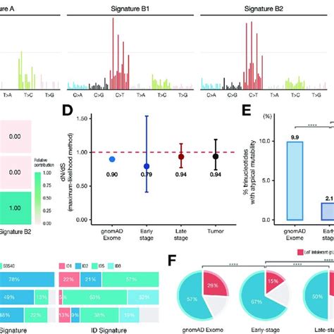 Mutational Profiles And Functional Analysis A De Novo Extraction Of Download Scientific