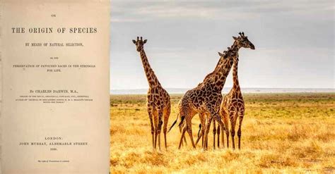 Lorigine Della Specie Il 24 Novembre 1859 La Prima Pubblicazione Del
