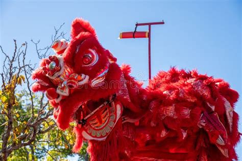 Chinese Dragon Puppet Head It Is A Popular Show During The Chinese New