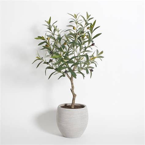 Premium Faux Olive Tree Wpot Cg Hunter Luxury Faux Plants