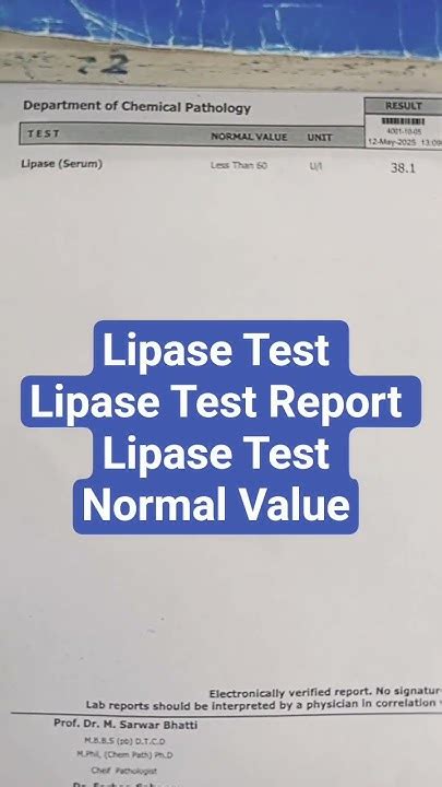 Lipase Test Lipase Test Report Lipase Test Normal Range Youtube