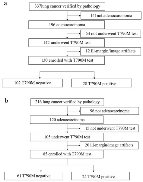 Patient Selection Flowcharts In A The First Affiliated Hospital Of