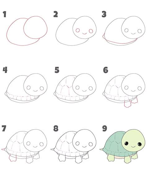 آموزش نقاشی لاک پشت بامزه به صورت تصویری و قدم به قدم