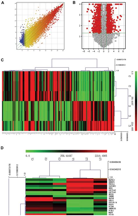 Microarray Profiling Of Bone Marrow Long Non Coding Rna Expression In