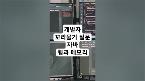개발자 기술 면접을 위한 꼬리물기 질문 Java 힙과 메모리 1 개발자 기술면접 Coding Programming