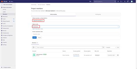 Setup Gitlab Cicd Pipeline Private Registry Elroydevops