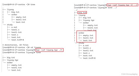 Linux指令 压缩文件 zip tar tar czf 生成zip文件 CSDN博客