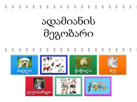 ცხოველები და ფრინველები Find The Match