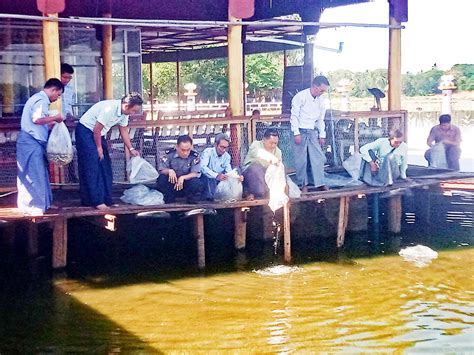 စလင်းမြို့နယ်၌ မြို့နယ်စီမံအုပ်ချုပ်ရေးအဖွဲ့နှင့် ဌာနဆိုင်ရာများ ဇီဝိတဒ