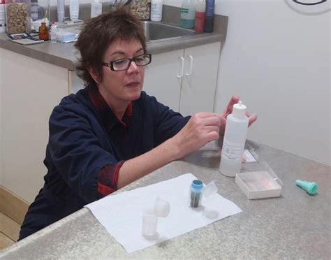 Fecal Float Testing On The Hunt For Chicken Parasites Bitchin Chickens