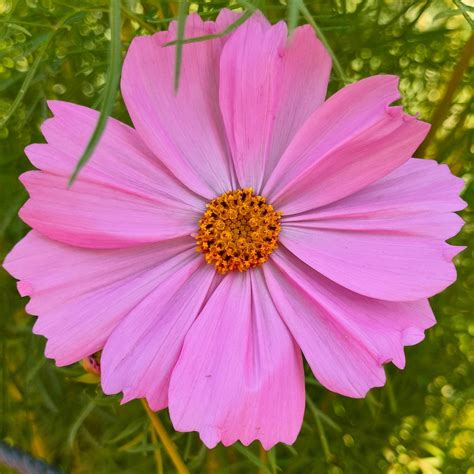 Github Global Currency Hubimage Compress2