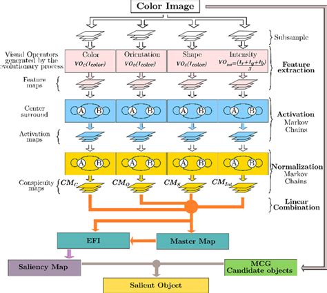 Automated Design Of Salient Object Detection Algorithms With Brain