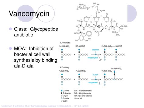 Vancomycin Class Total Syntheses Of Vancomycin Organic Synthesis Set