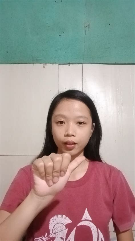 Filipino Sign Language Roboflow Universe