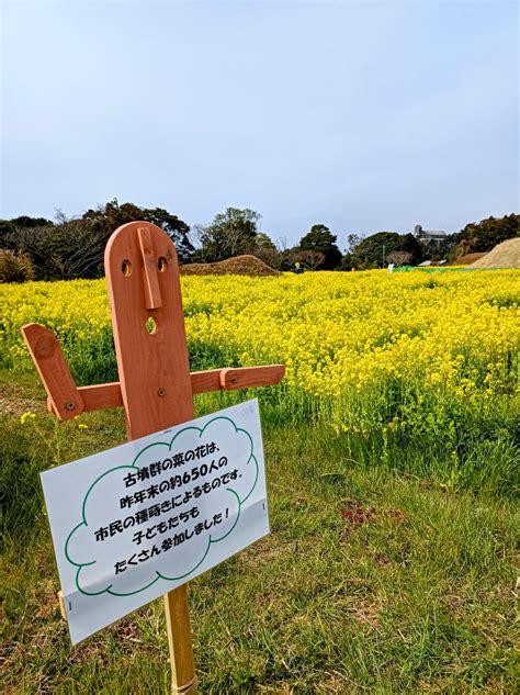 新原奴山古墳群九州への旅行や観光情報は九州旅ネット