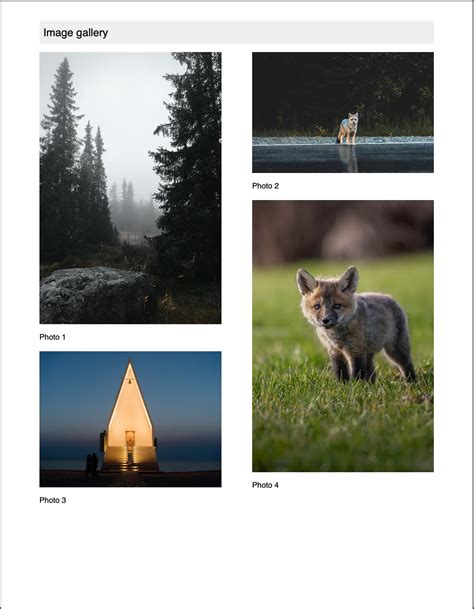 Division Layout UniDoc