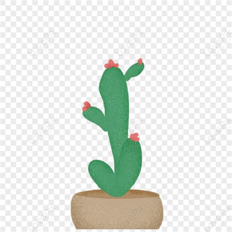 선인장 Png 일러스트 무료 다운로드 Lovepik