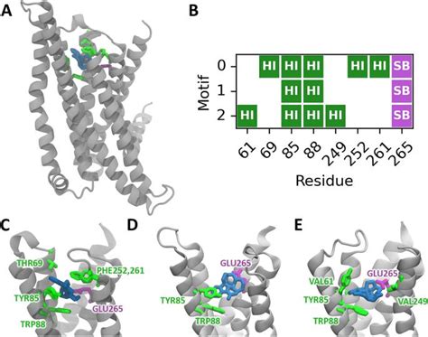 Virtuouspocketome A New Computational Tool For Protein Databases