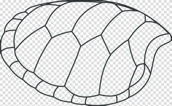 Free Turtle Shell Official Minecraft Wiki Nohat Cc