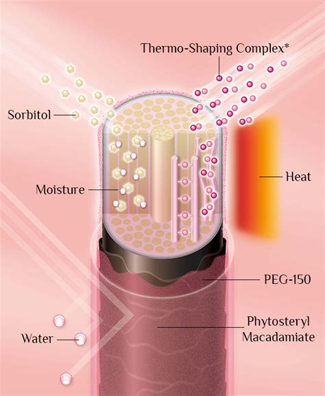 Is Frizzy Unruly Hair Really Caused By Humidity We Tell You The Truth